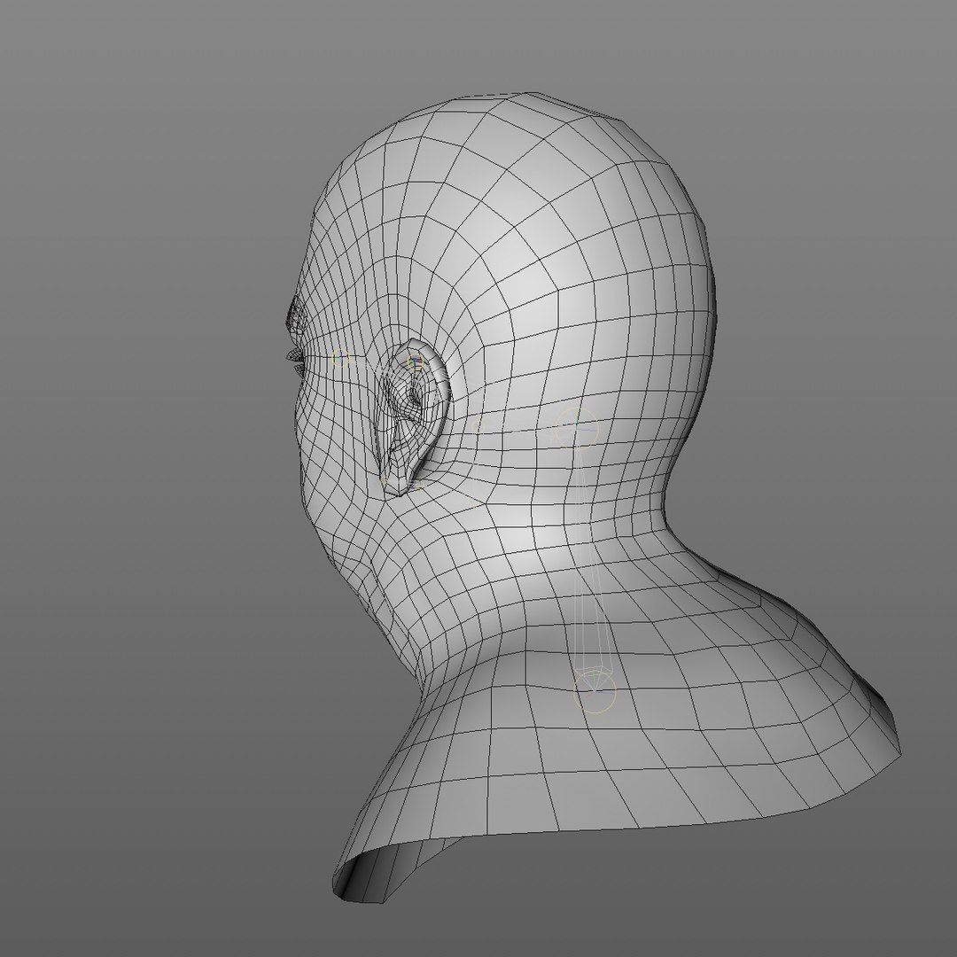 Realistic head base mesh 3D model - TurboSquid 1440278