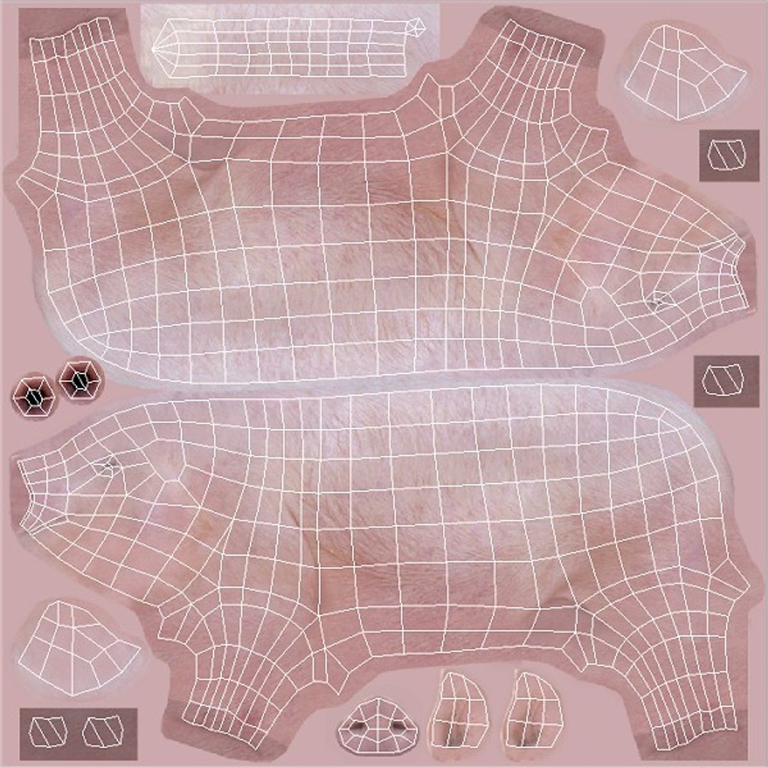 3d Max Pig Uv