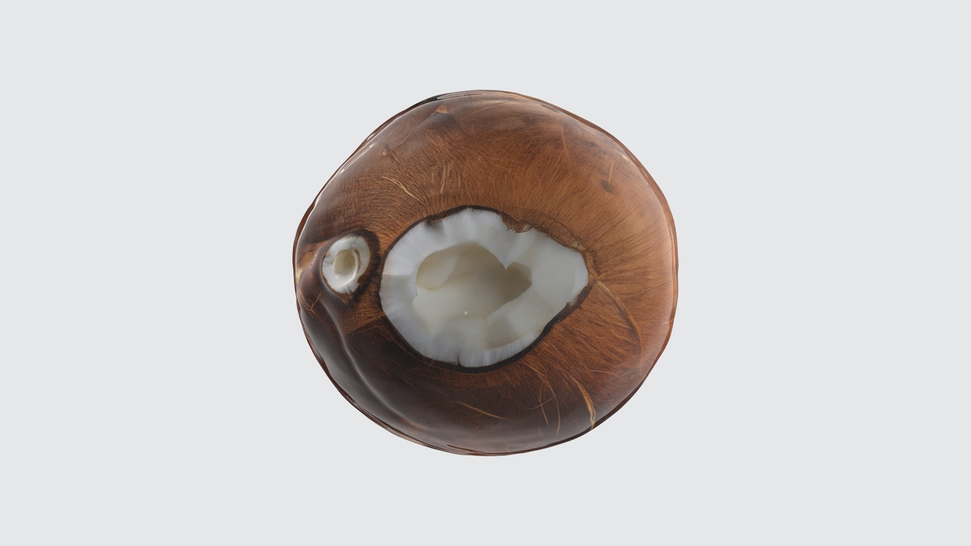 3D Full Coconut - TurboSquid 2281568