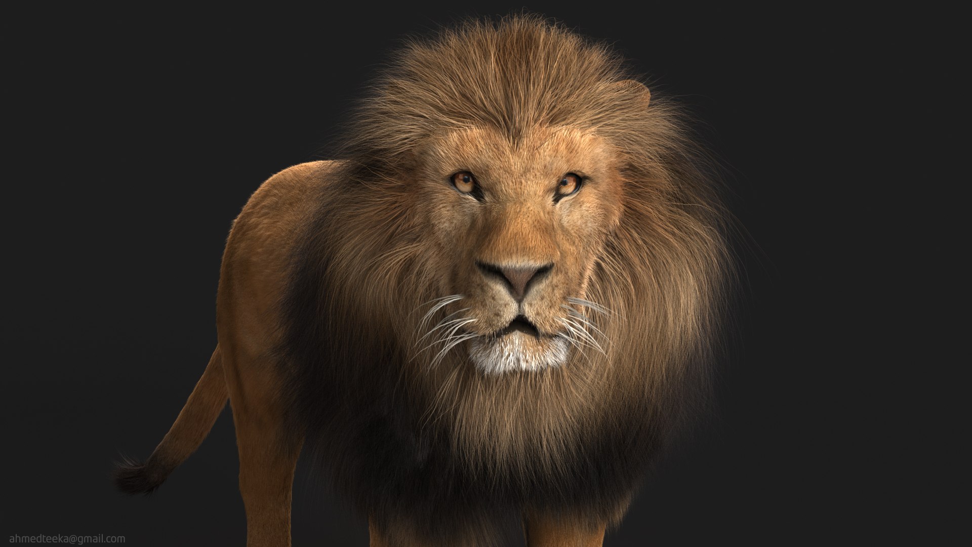 Lion Fur Max