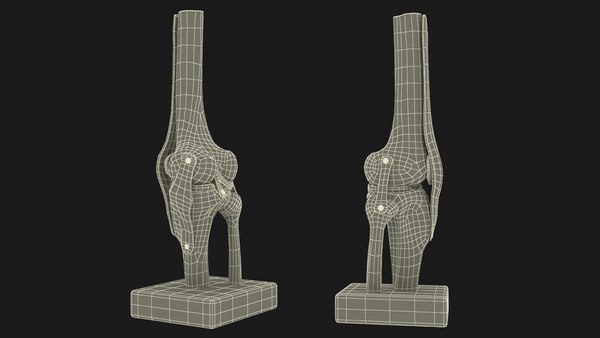 modelo 3d Colección de modelos anatómicos - TurboSquid 2298362