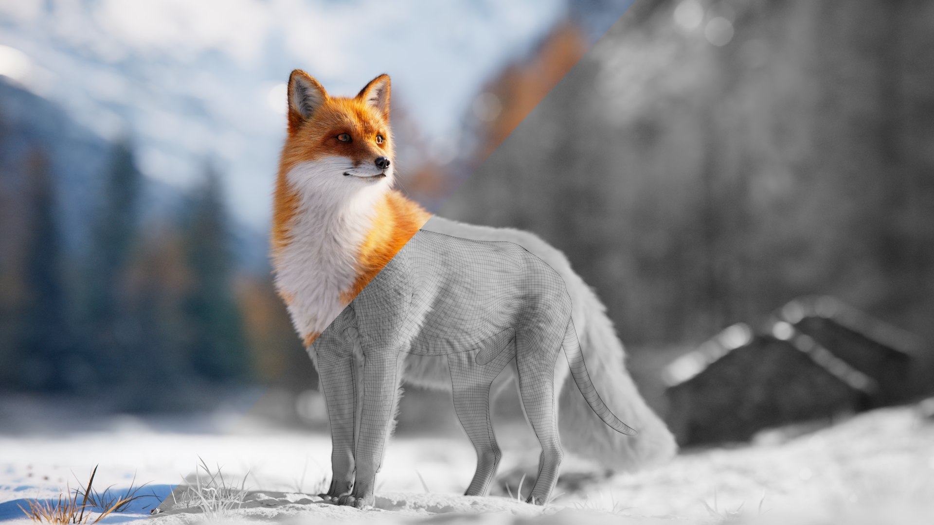 3D Red Fox Animation Model - TurboSquid 2057087