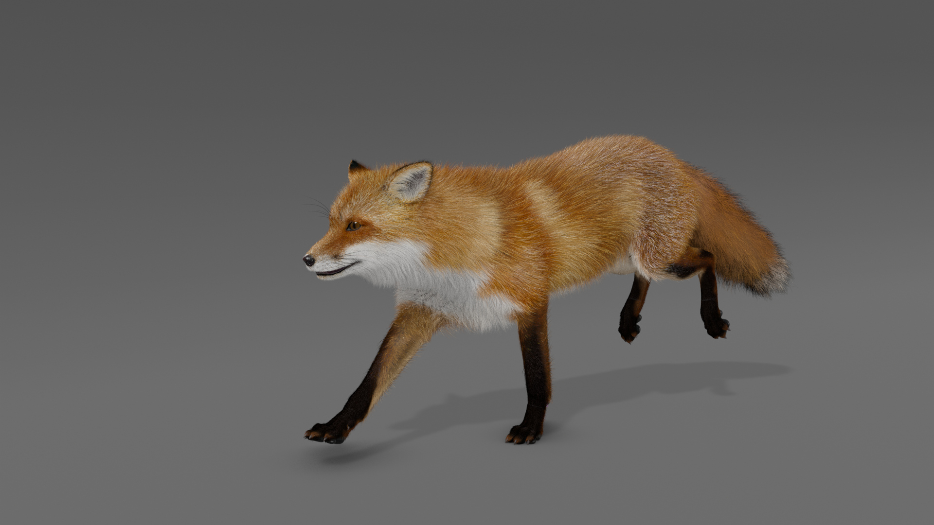Rotfuchs-Animation 3D-Modell - TurboSquid 2057087