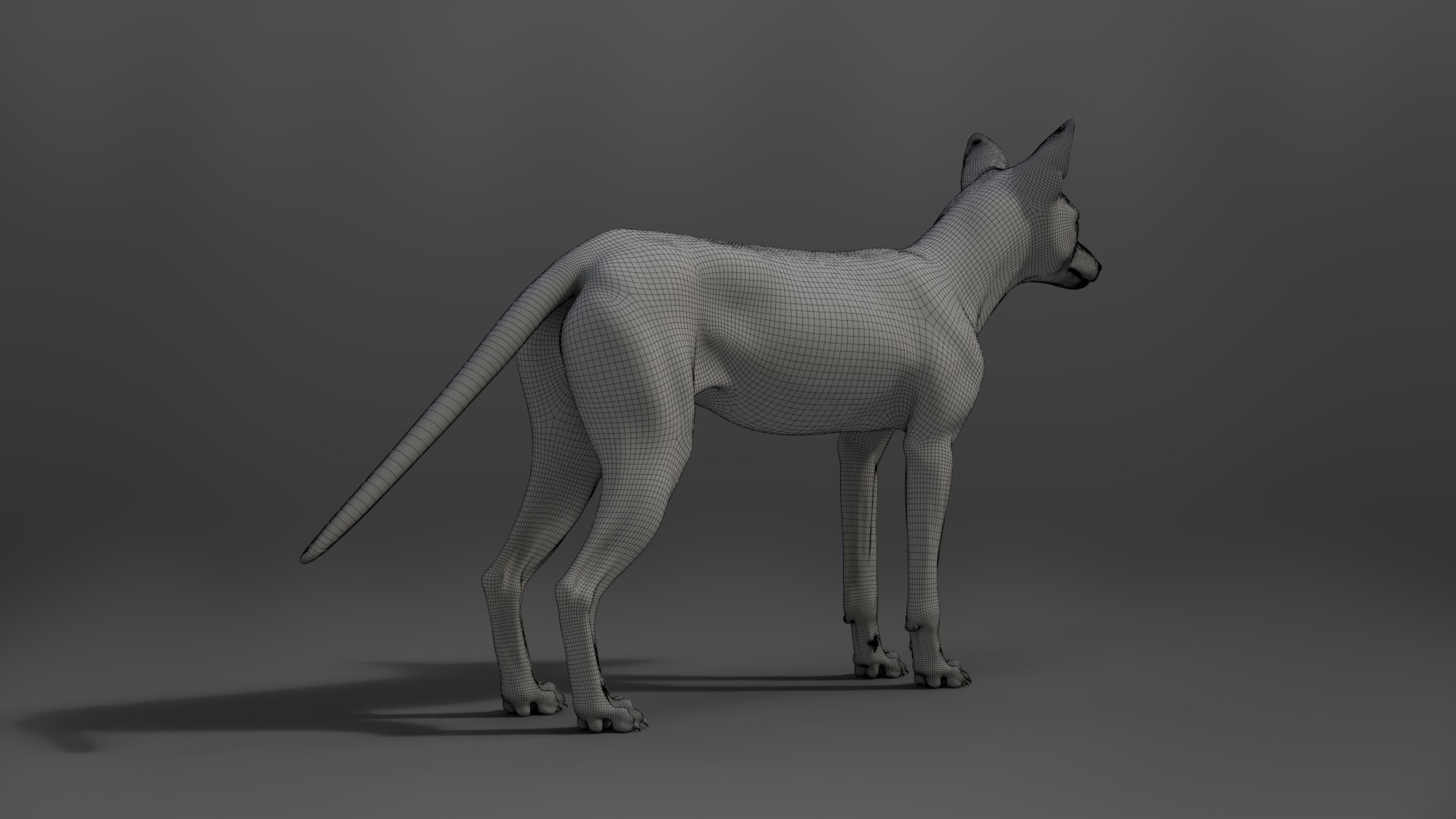 3D Red Fox Animation model - TurboSquid 2057087