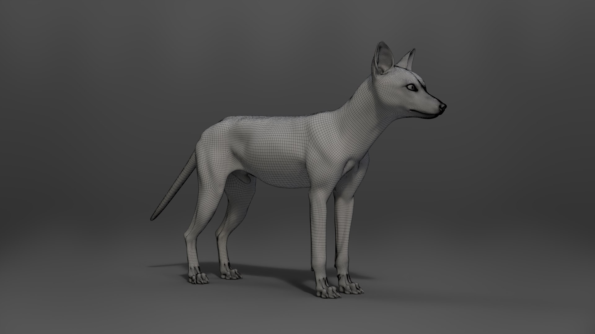 3D Red Fox Animation model - TurboSquid 2057087