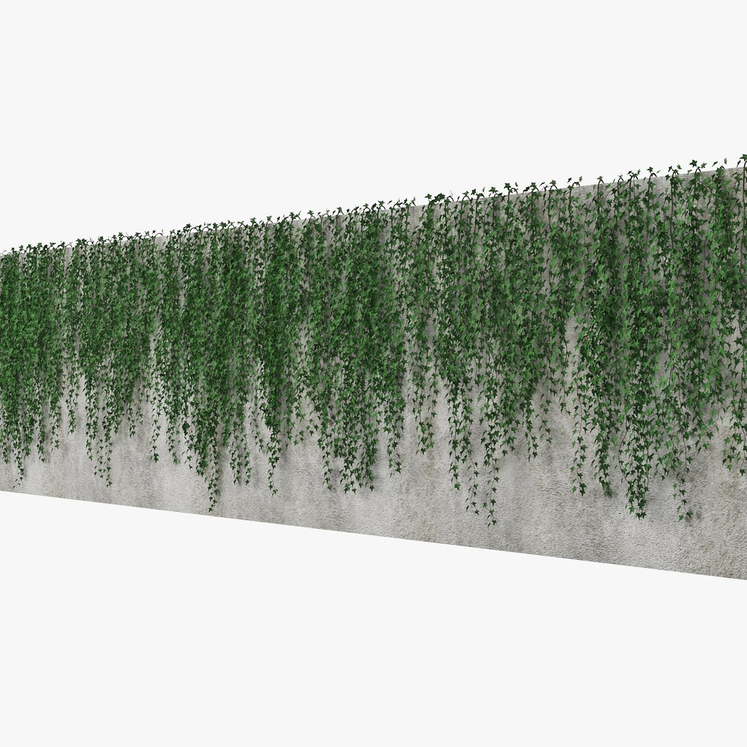 3D Ivy Wall Model - TurboSquid 1593510