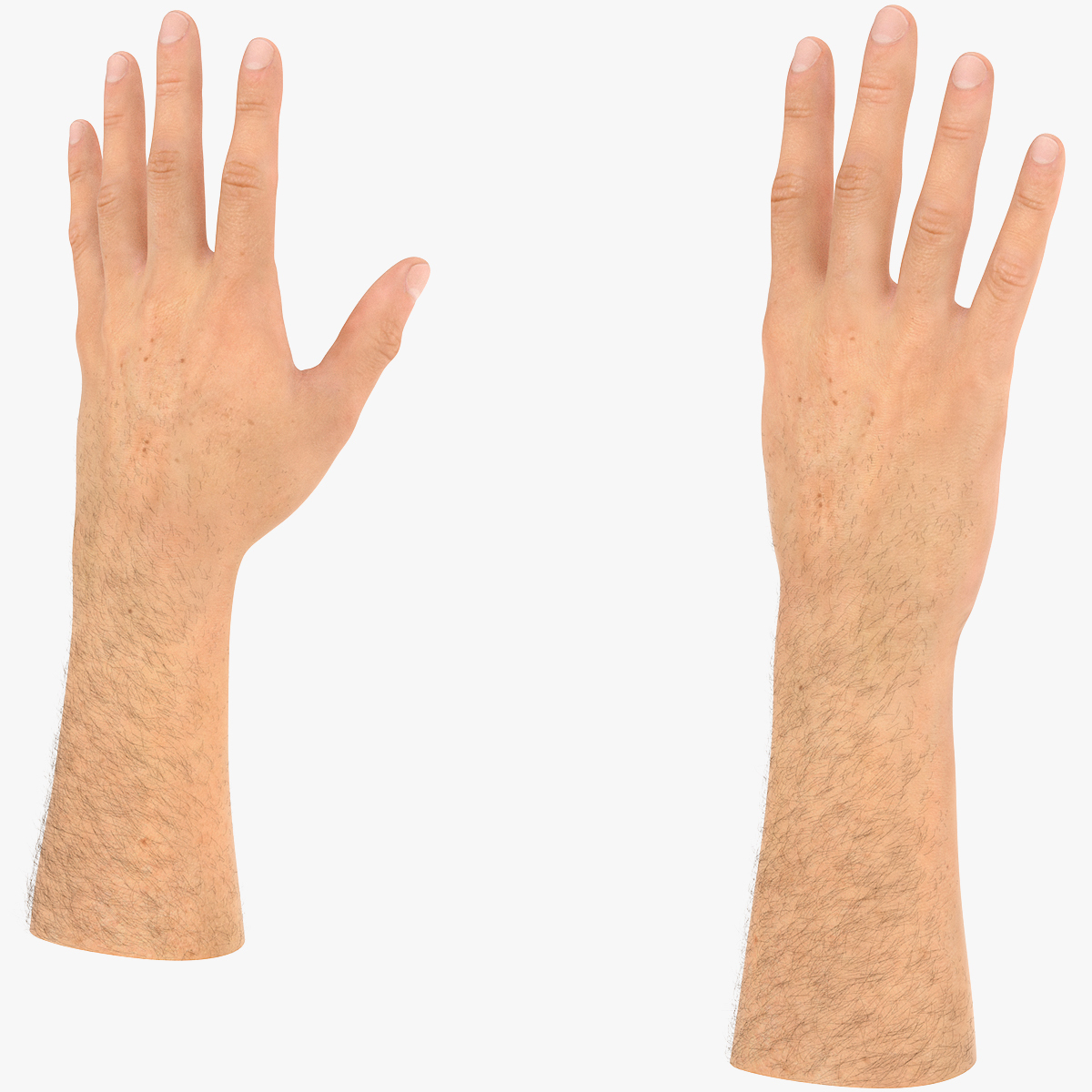 3d model hands rig animate customizable