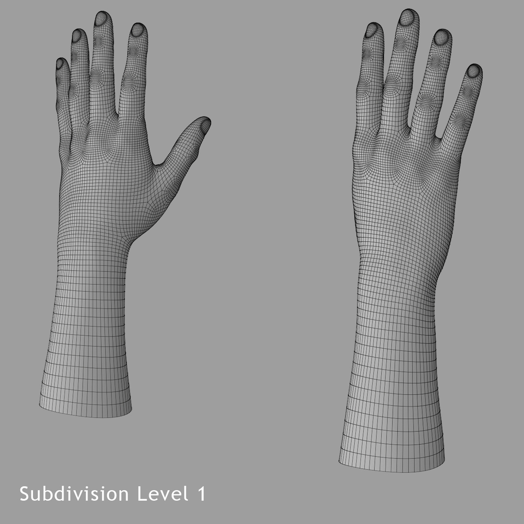 3d model hands rig animate customizable
