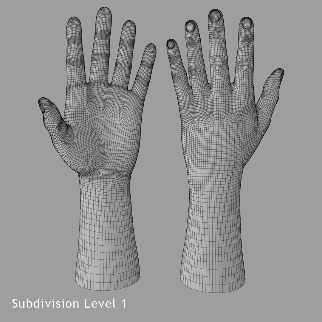 3d model hands rig animate customizable