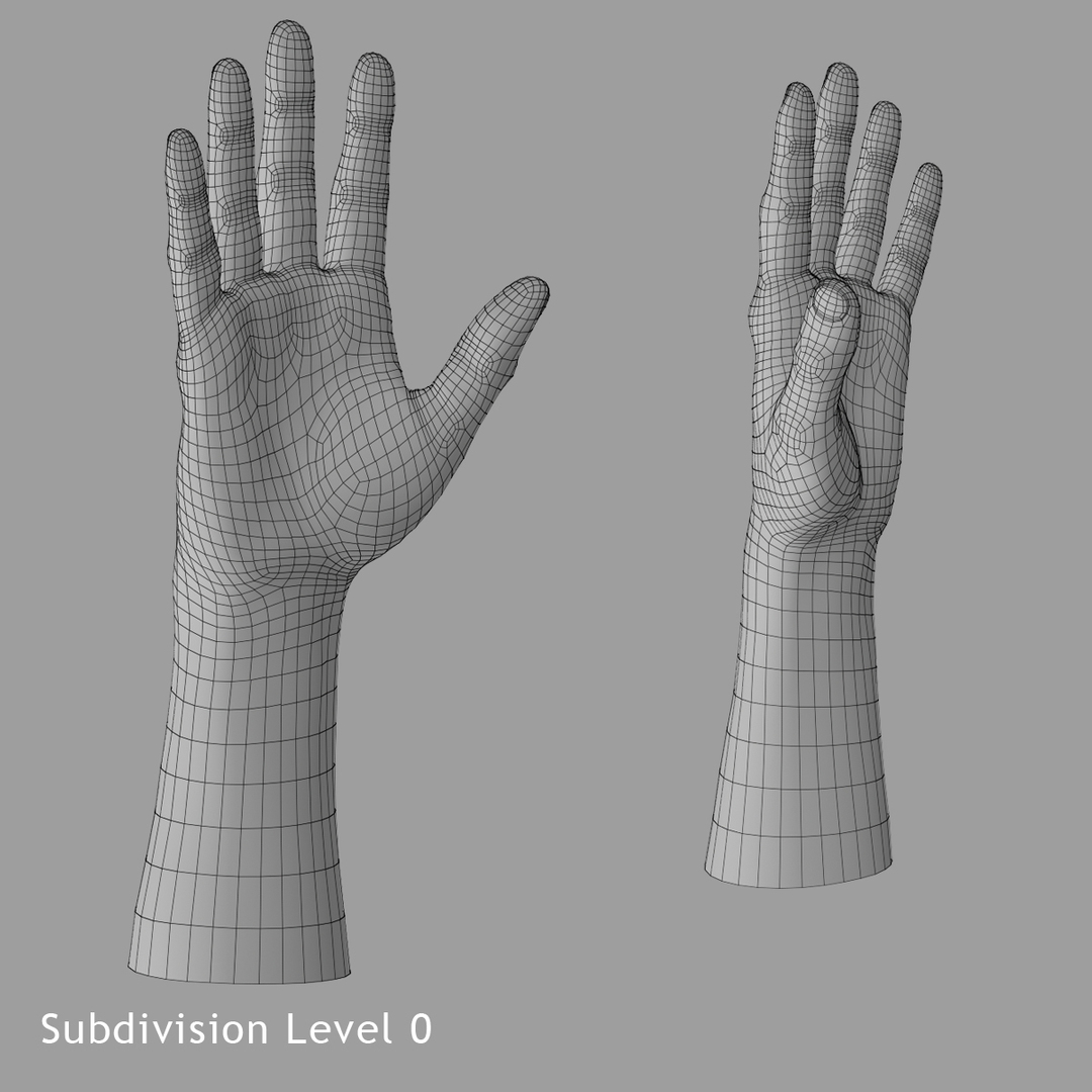 3d model hands rig animate customizable