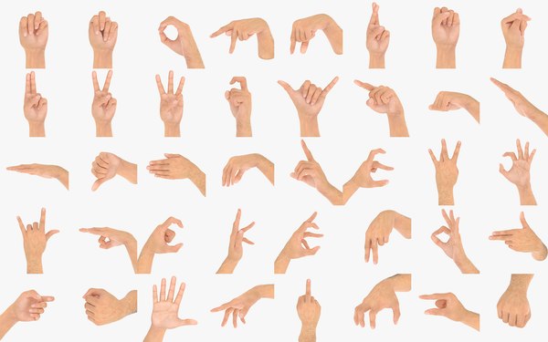 3d model hands rig animate customizable