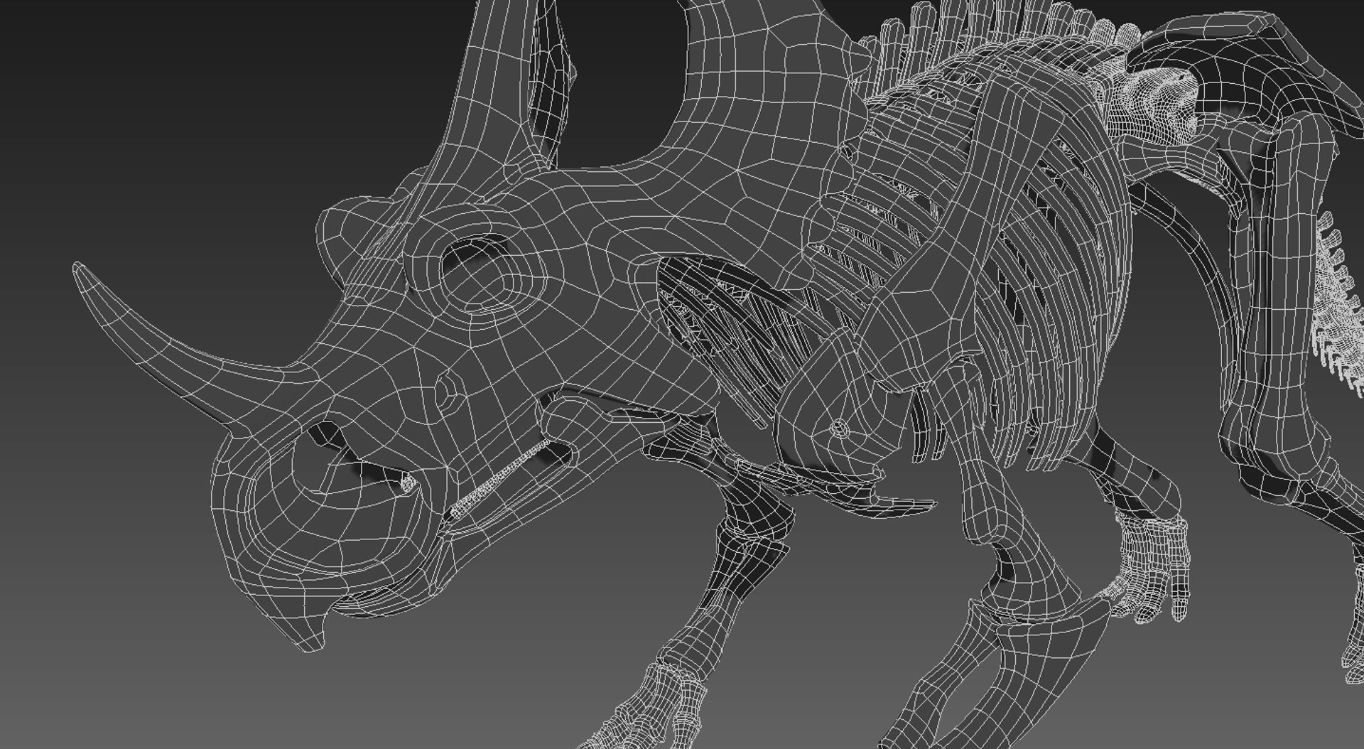 Styracosaurus Skeleton 3D Model - TurboSquid 1228764