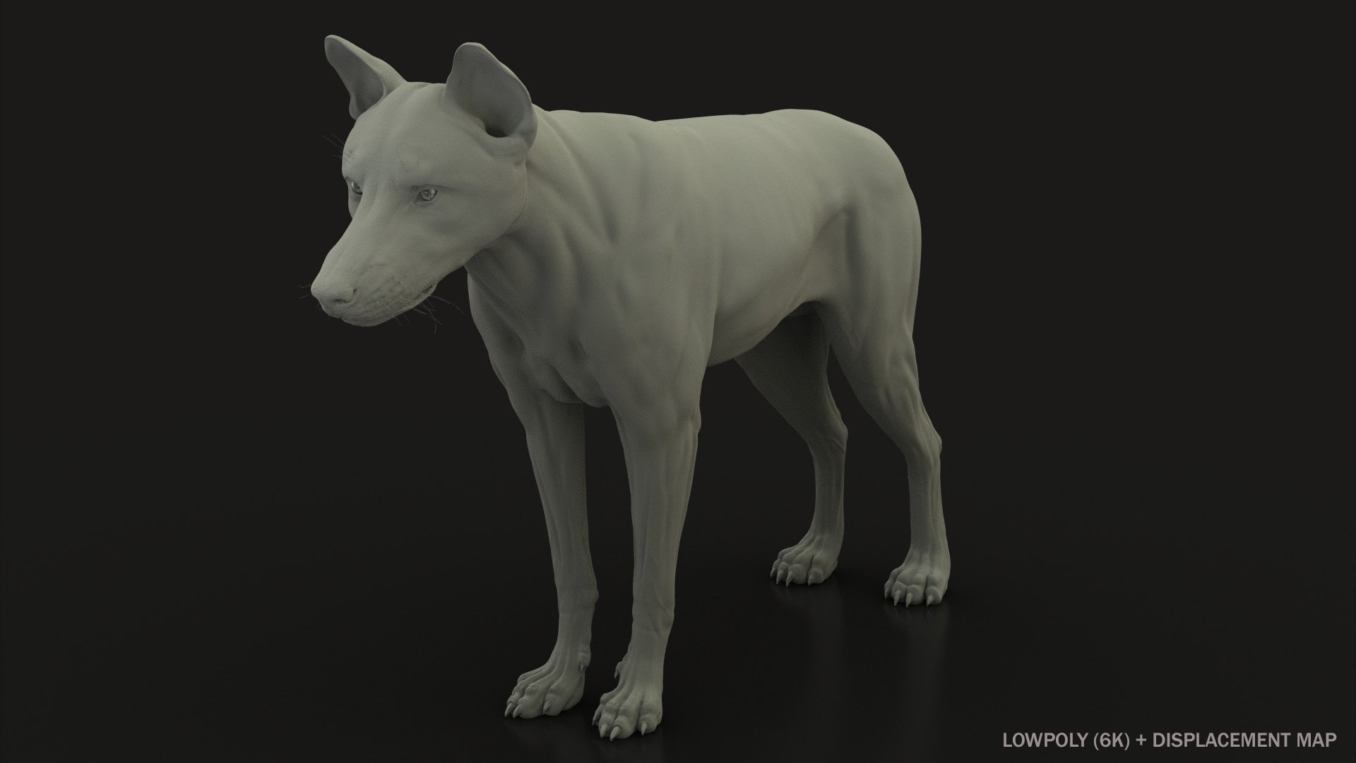 Wolf XGEN-CORE ANIMATED 3D Model - TurboSquid 2259365