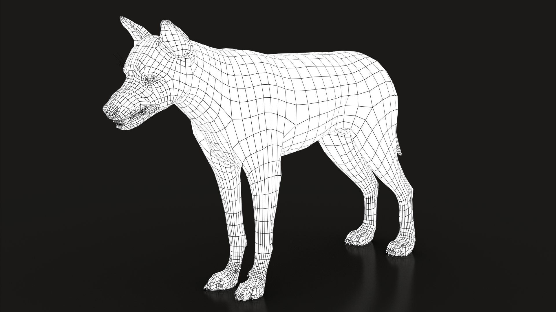 Wolf XGEN-CORE ANIMATED 3D Model - TurboSquid 2259365