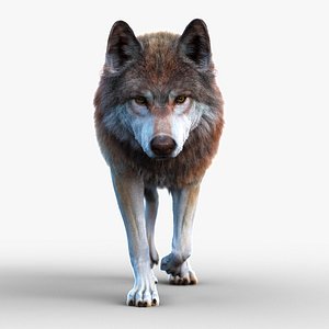 3D Wolf Models - Browse & Download Formats - TurboSquid