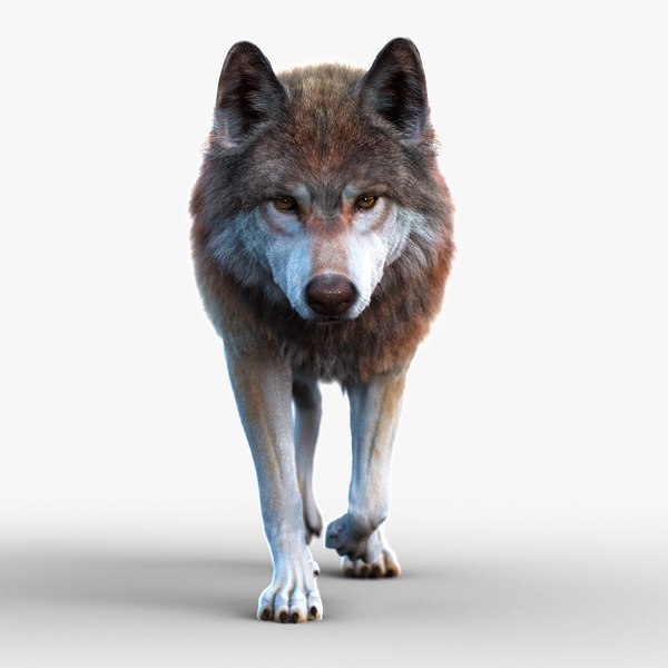 Wolf 3D Models for Download | TurboSquid