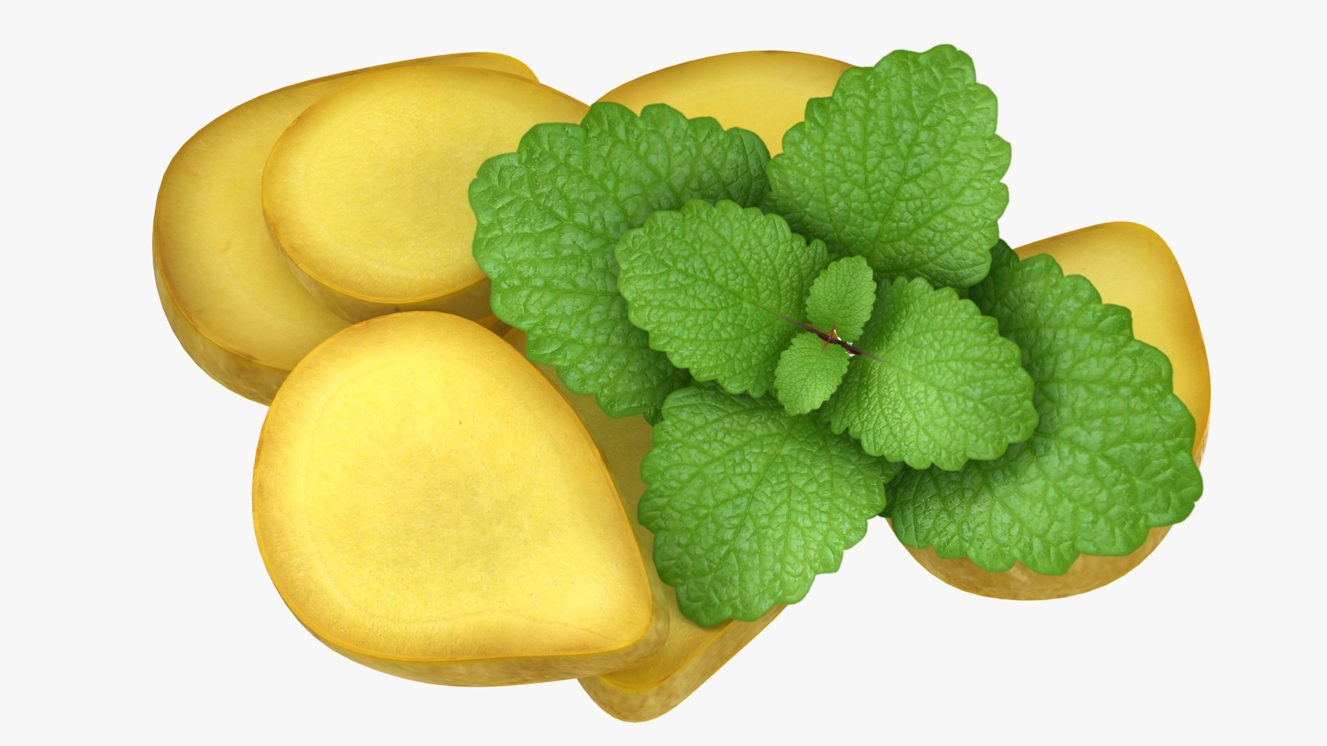 Realistic ginger slice mint 3D model - TurboSquid 1453904