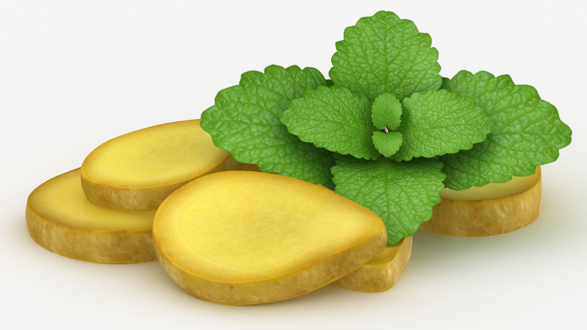 Realistic Ginger Slice Mint 3D Model - TurboSquid 1453904