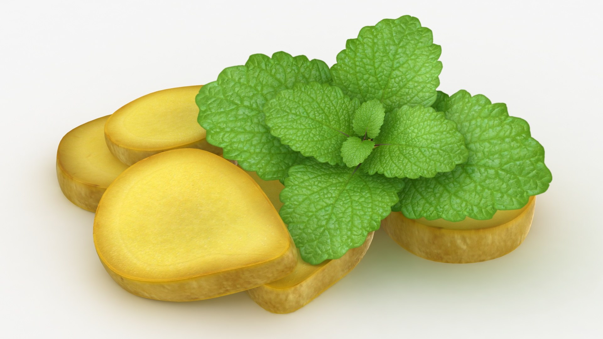 Realistic Ginger Slice Mint 3D Model - TurboSquid 1453904