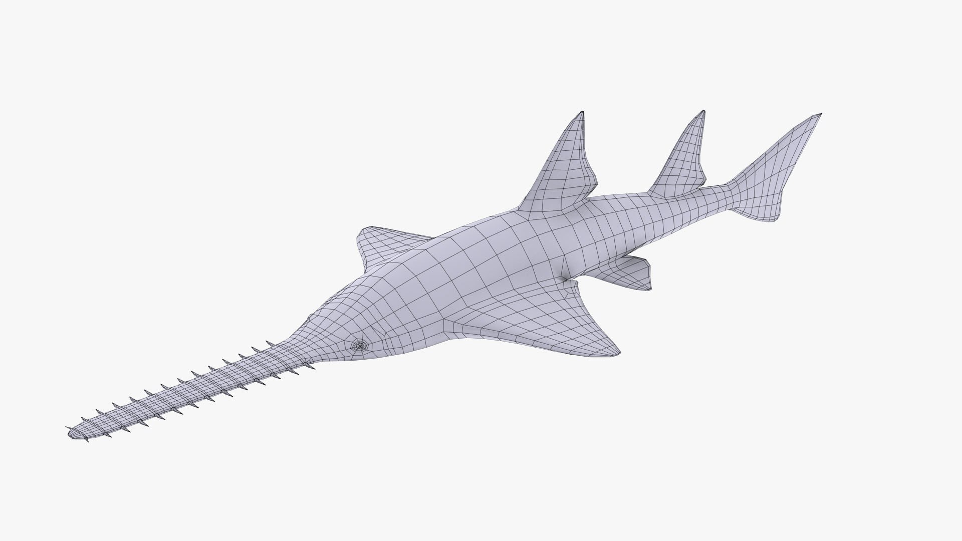 3d Model Sawfish Fish