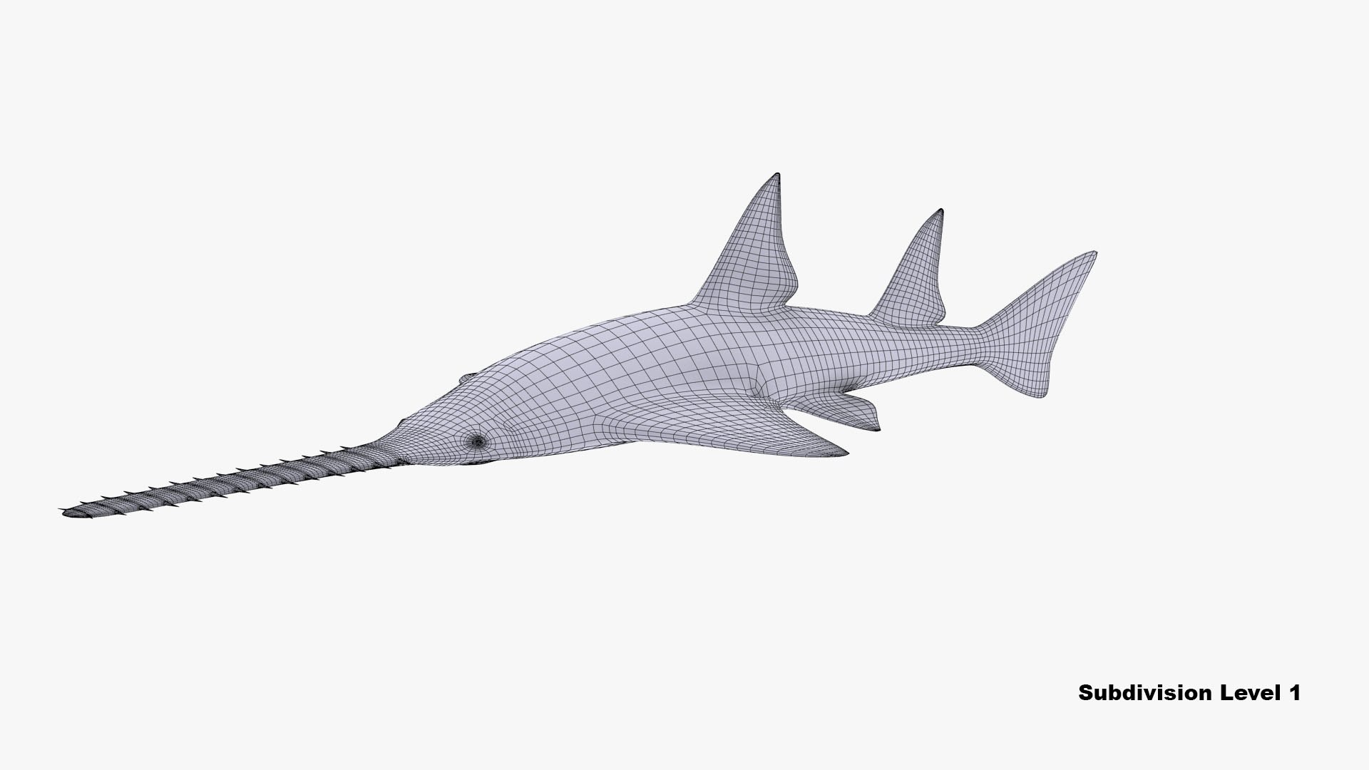 3d Model Sawfish Fish