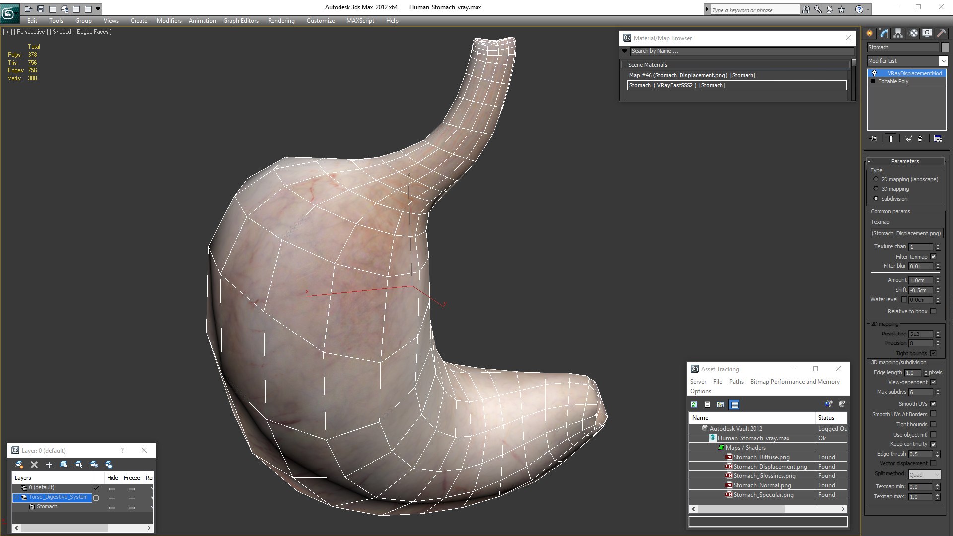 Human Stomach 3D Model - TurboSquid 1459203