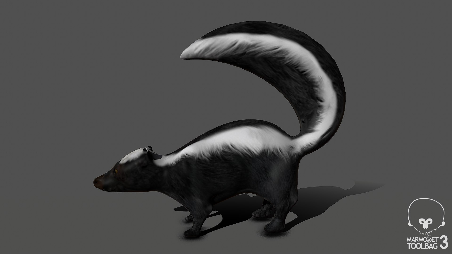 Skunk 3D model - TurboSquid 1638267