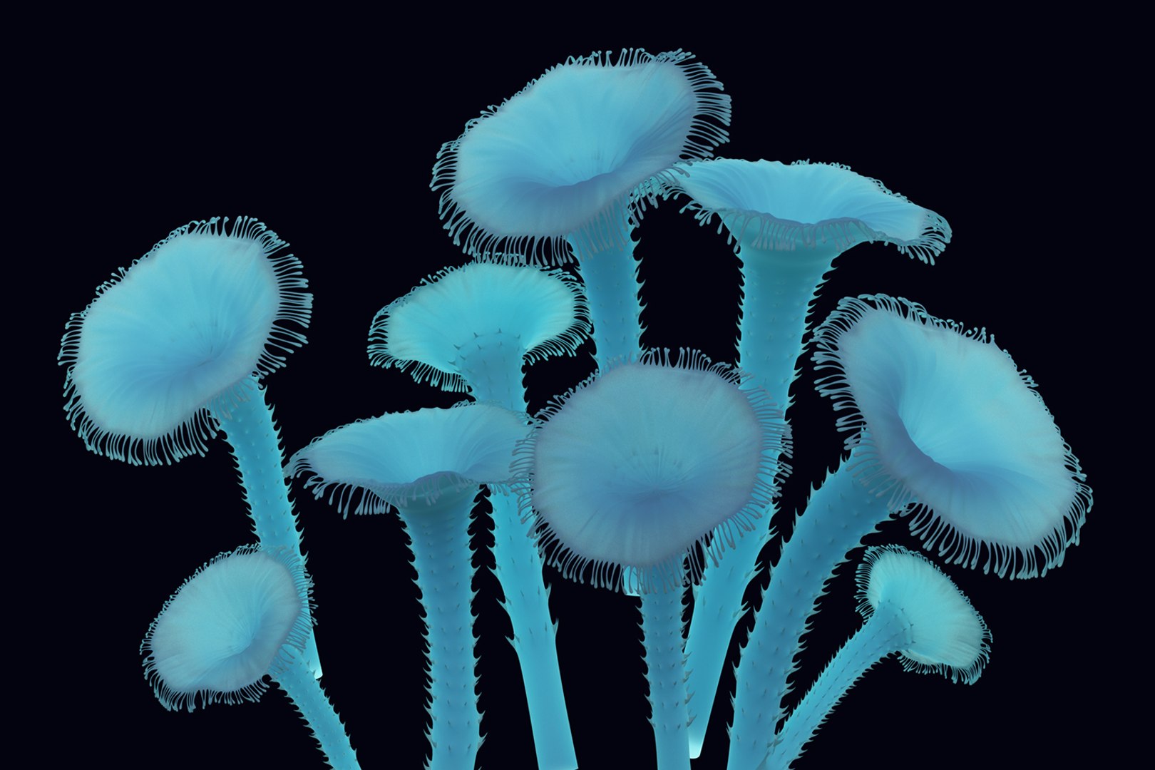 3d Model Of Big Flowers Avatar