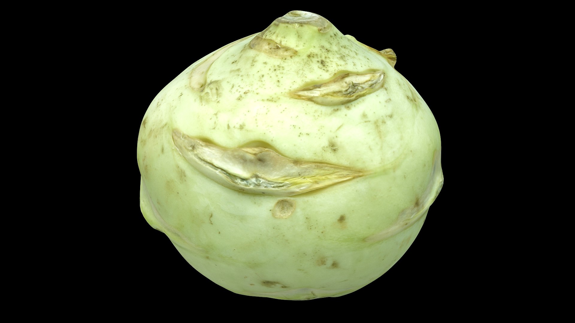 Realistic Cabbage 3D Model - TurboSquid 1467258