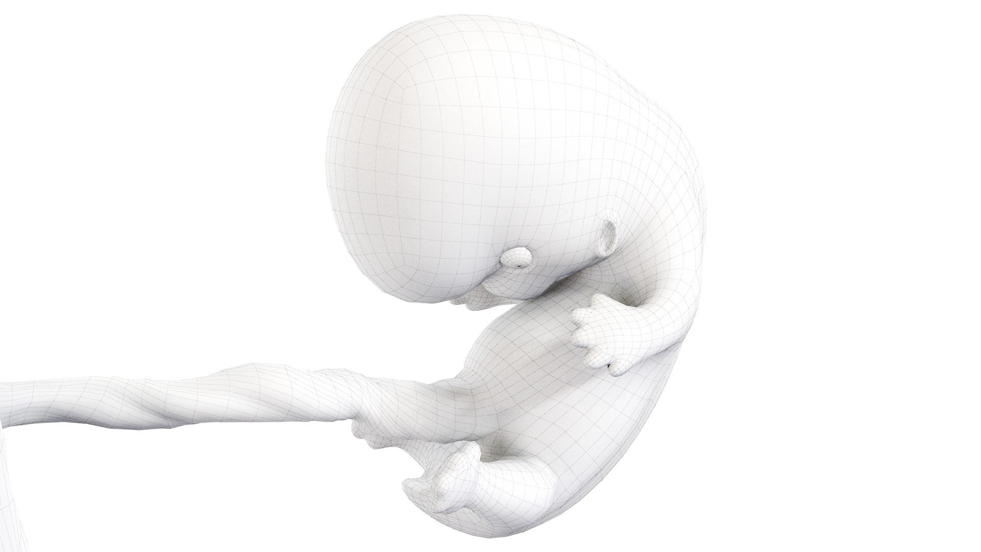 Fetus Week 8 Static 3D Model - TurboSquid 1875103