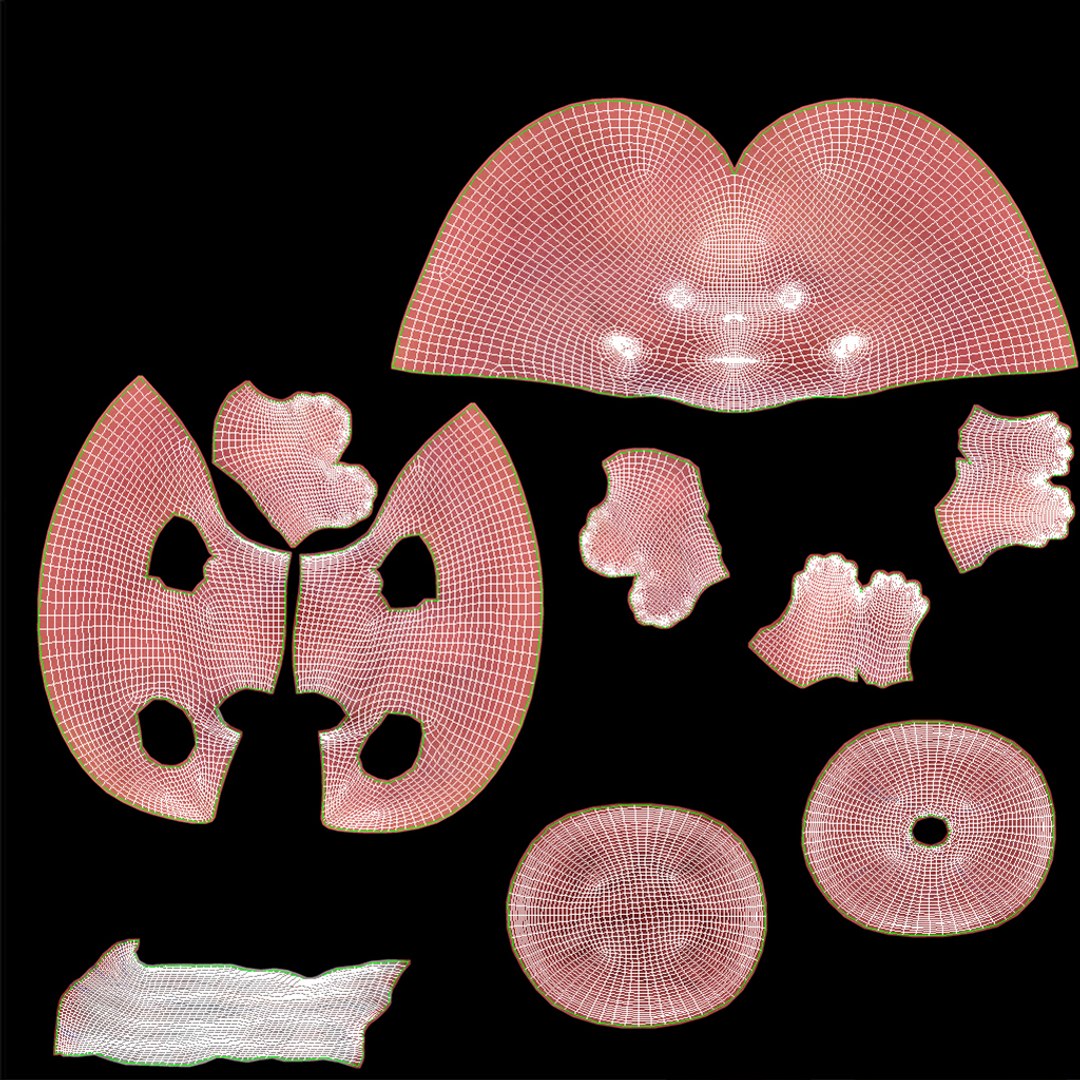 Fetus Week 8 Static 3D Model - TurboSquid 1875103