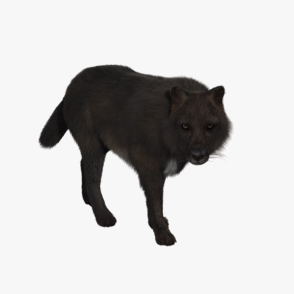 Black Wolf 3D Models for Download | TurboSquid