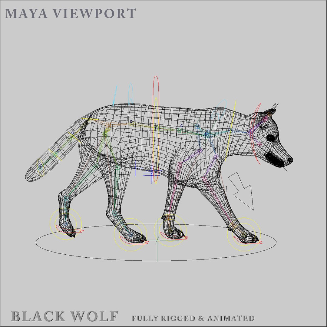 Black Fur Animation Wolf 3d Ma