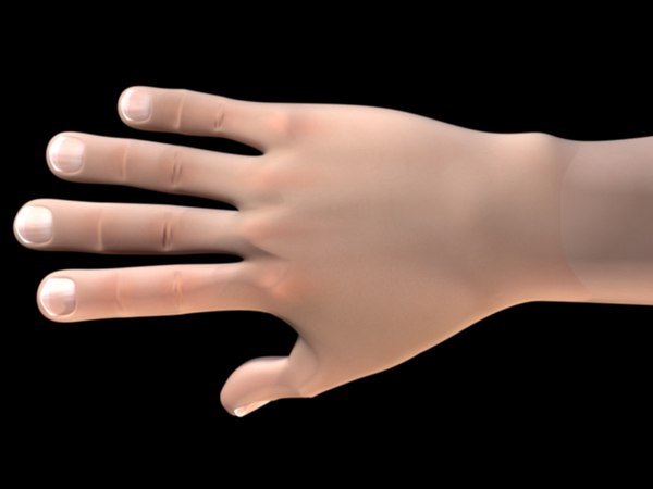 male human hand 3d 3ds