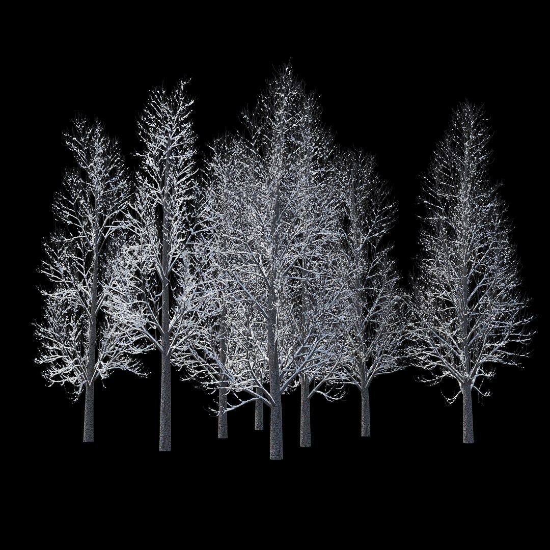 3D Winter Tree 019 - TurboSquid 1230770