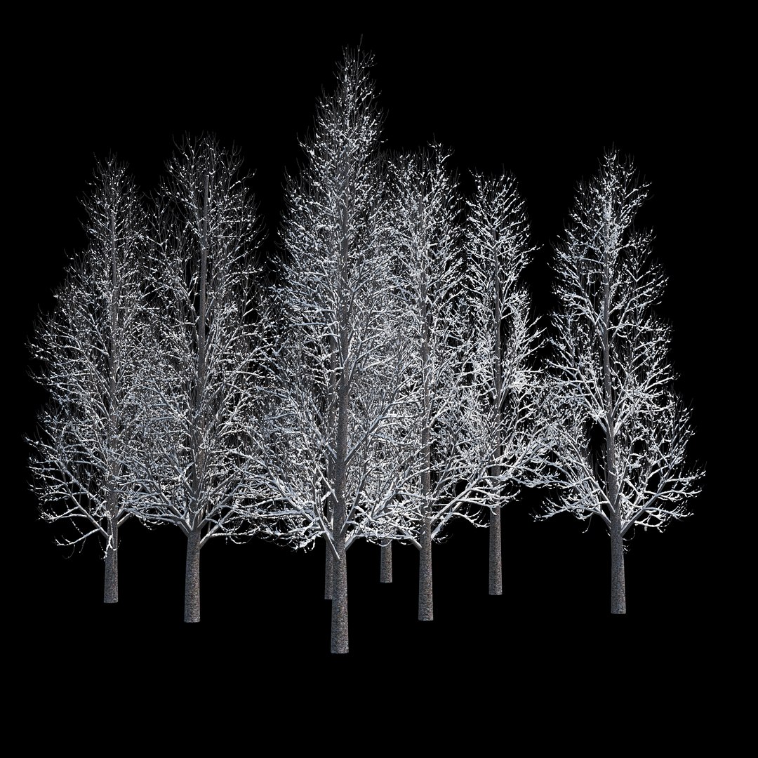 3D Winter Tree 019 - TurboSquid 1230770