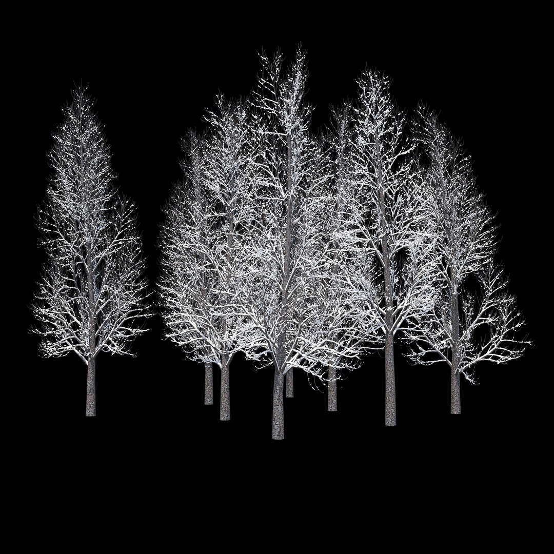 3D Winter Tree 019 - TurboSquid 1230770