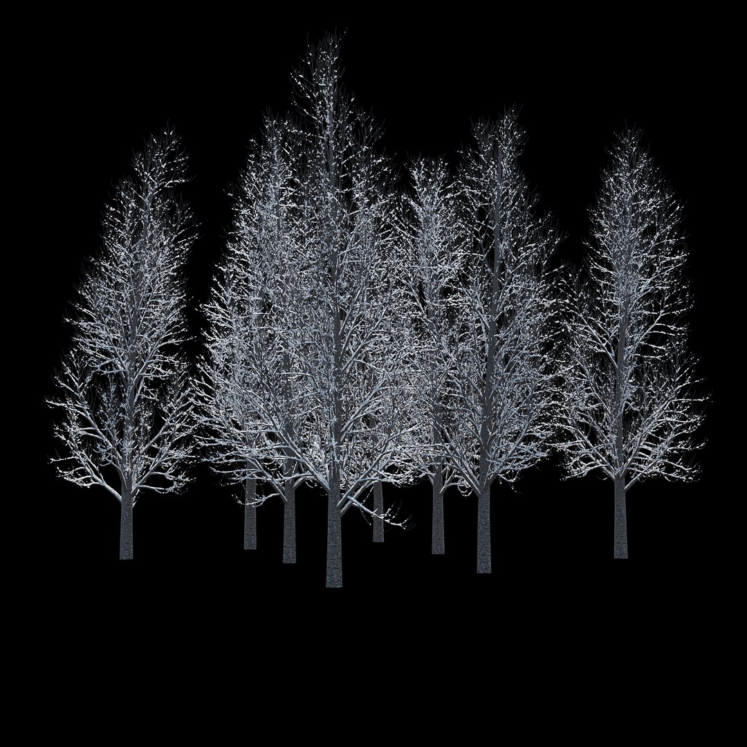 3D Winter Tree 019 - TurboSquid 1230770
