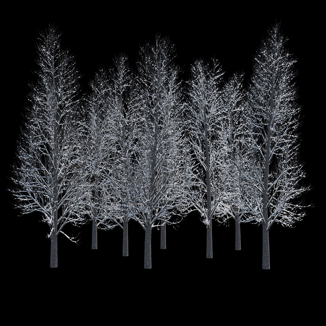 3D Winter Tree 019 - TurboSquid 1230770