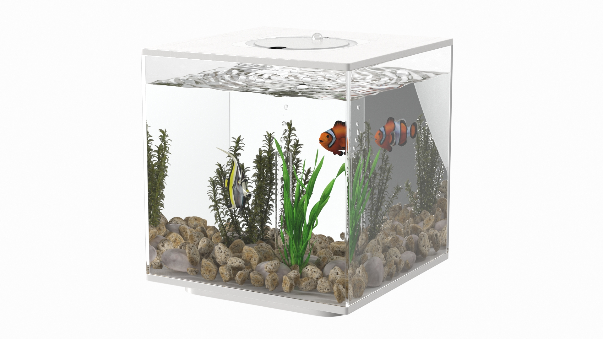 Fish Tank White Cube 3D - TurboSquid 2134049