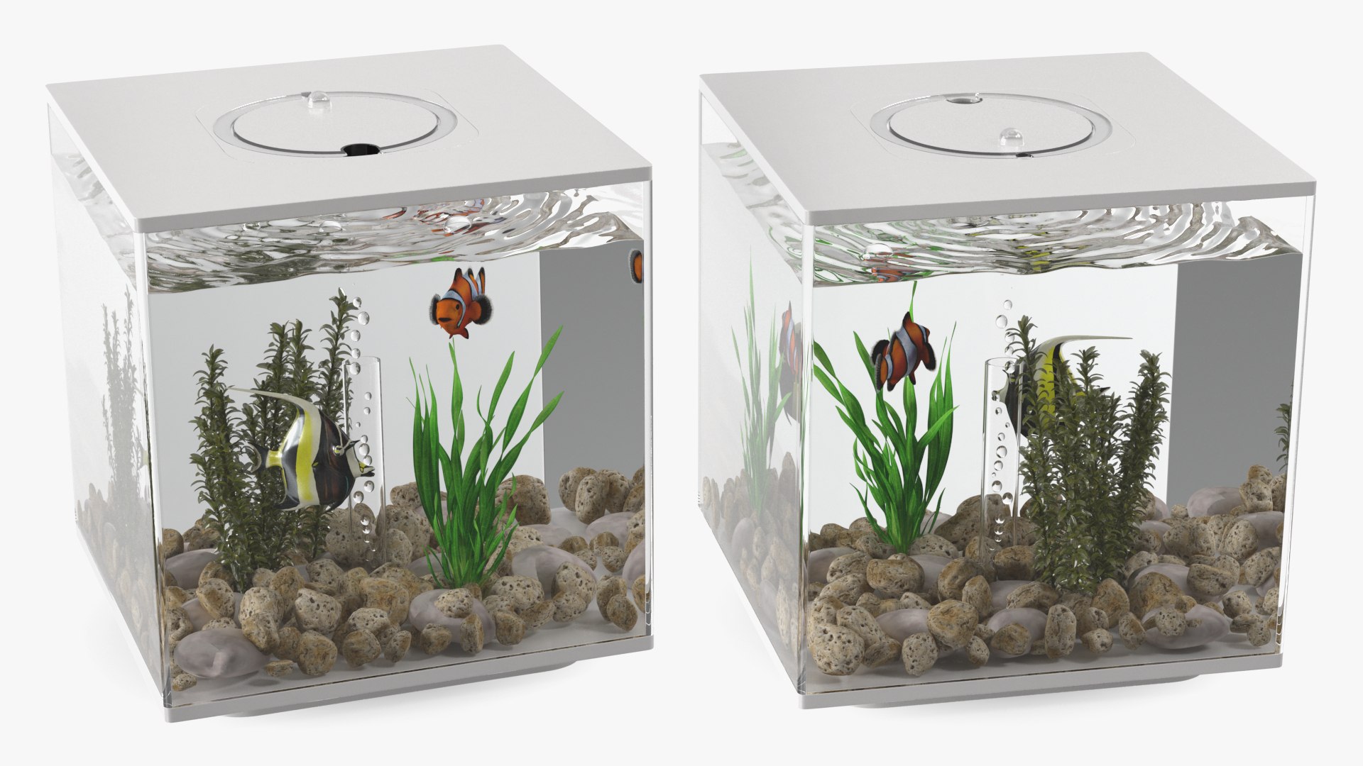 Fish Tank White Cube 3D - TurboSquid 2134049