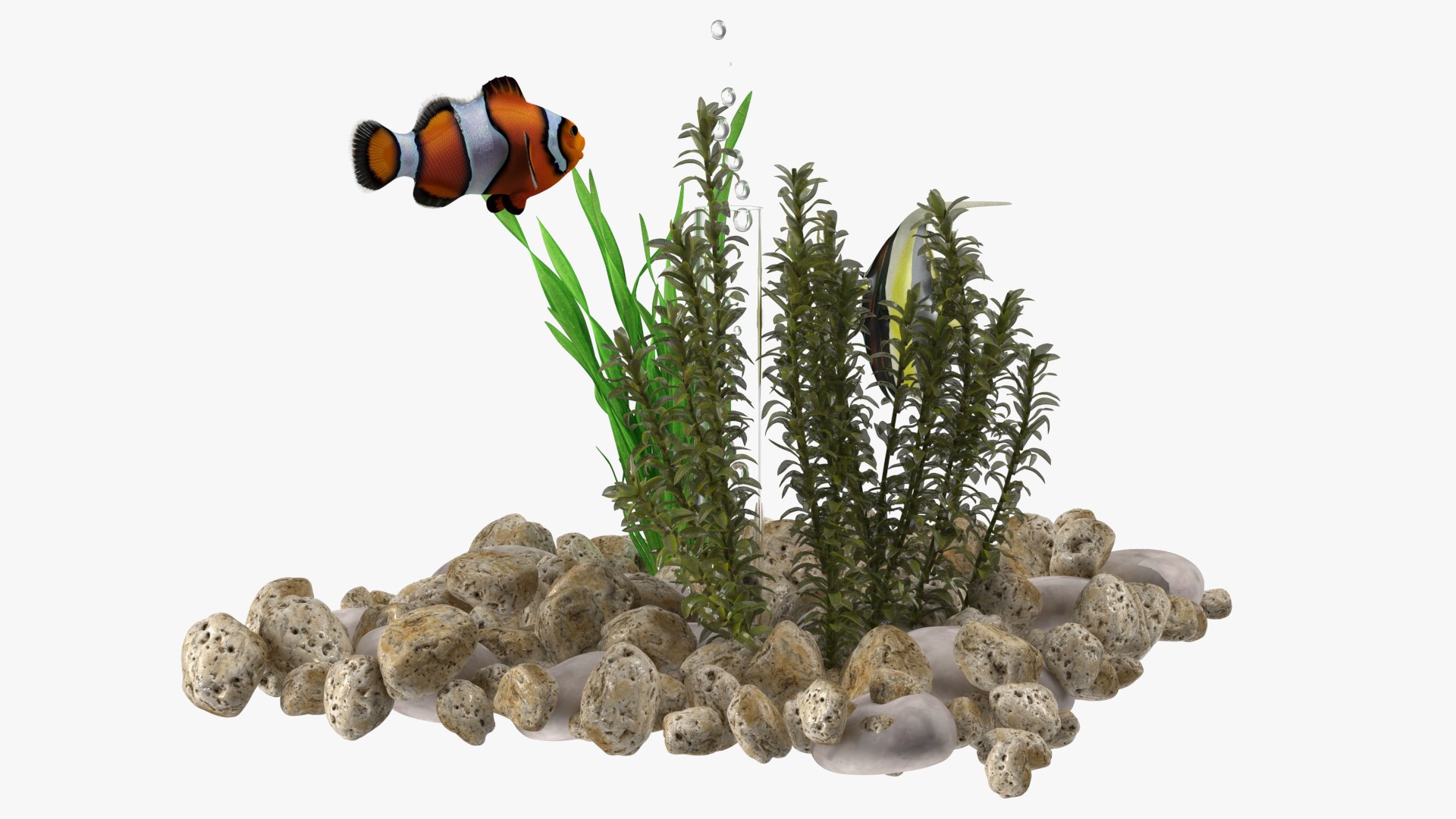 Fish Tank White Cube 3D - TurboSquid 2134049