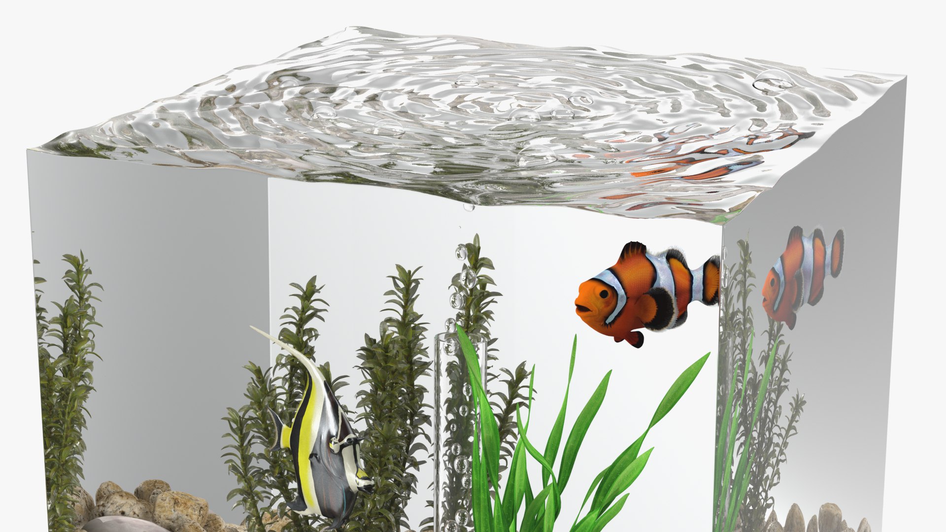 Fish Tank White Cube 3D - TurboSquid 2134049
