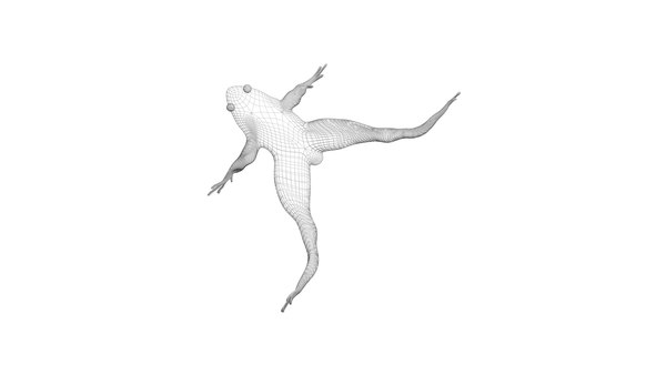 3D model Swimming Posed Frog - TurboSquid 1841489