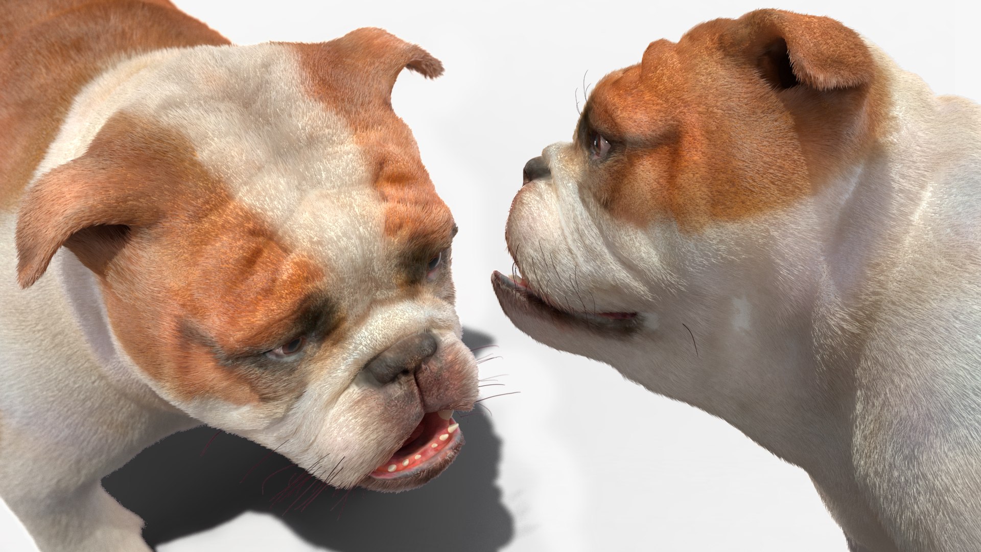 3D Model Bulldog Fur - TurboSquid 2180512