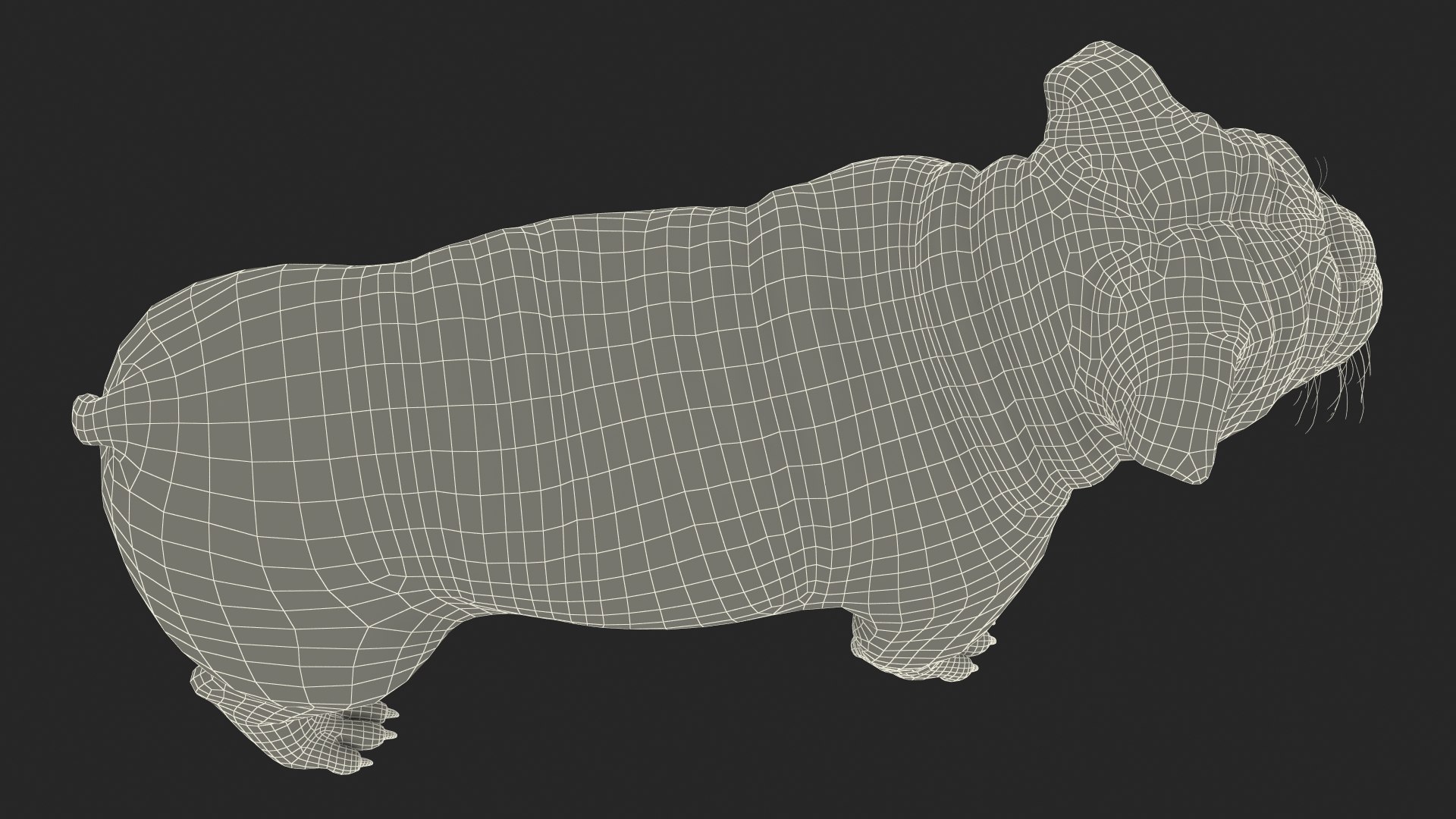 3D Model Bulldog Fur - TurboSquid 2180512