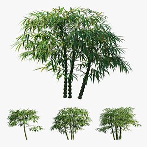 Bamboo SketchUp Models for Download | TurboSquid