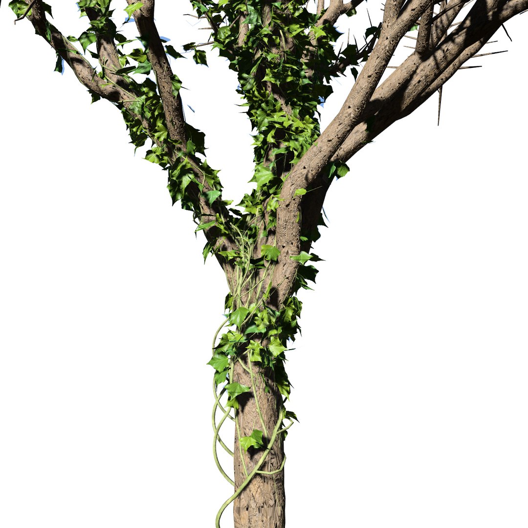 Winter Trees with Hanging Ivy 3D model - TurboSquid 2140264