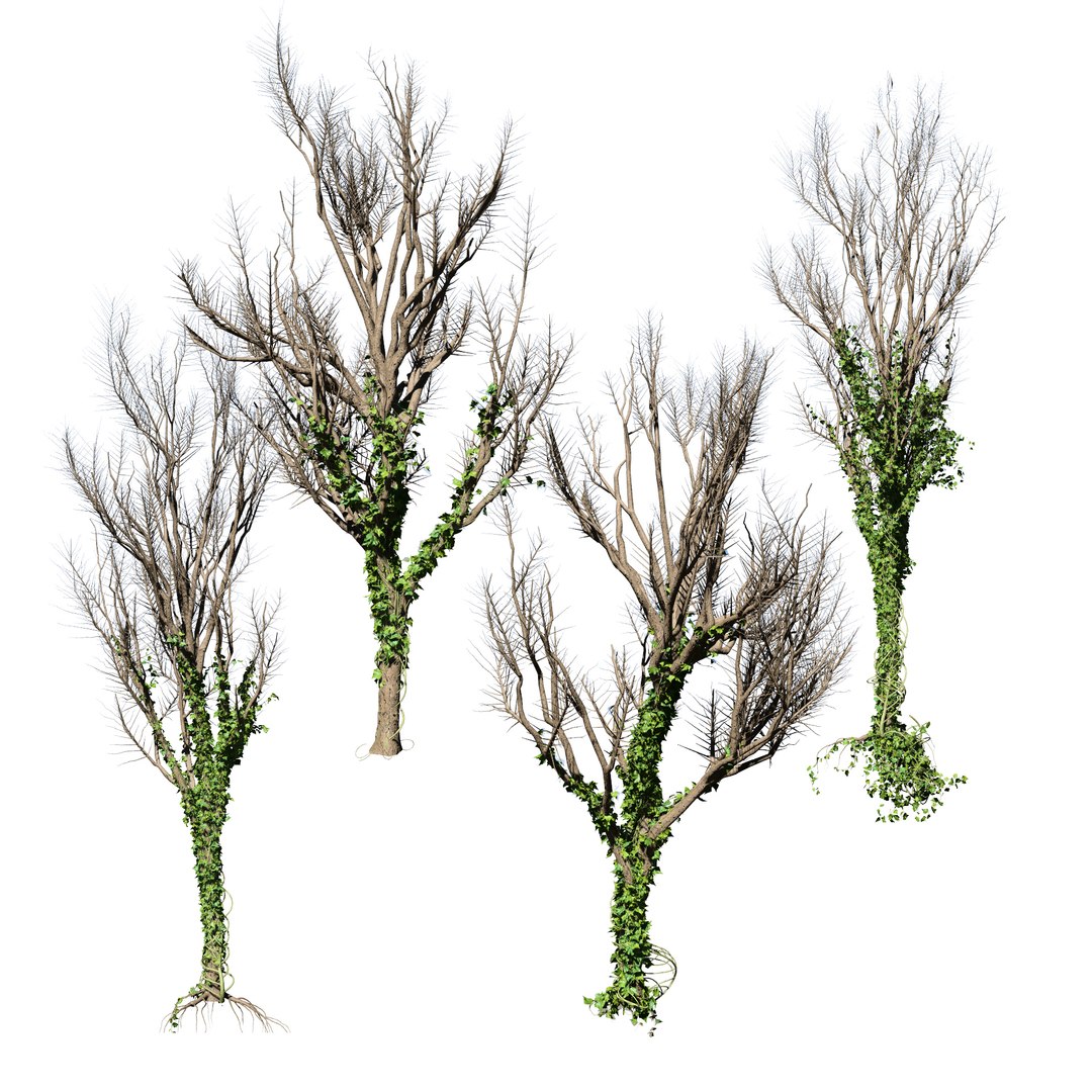 Winter Trees with Hanging Ivy 3D model - TurboSquid 2140264