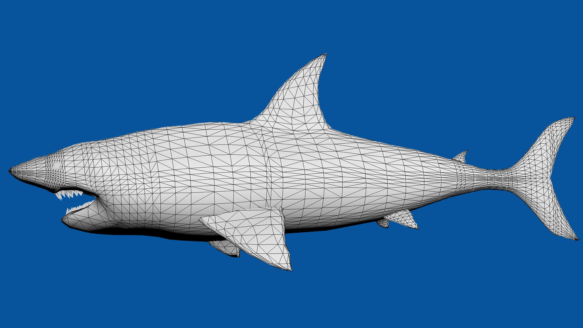 3D Shark Model - TurboSquid 2150959